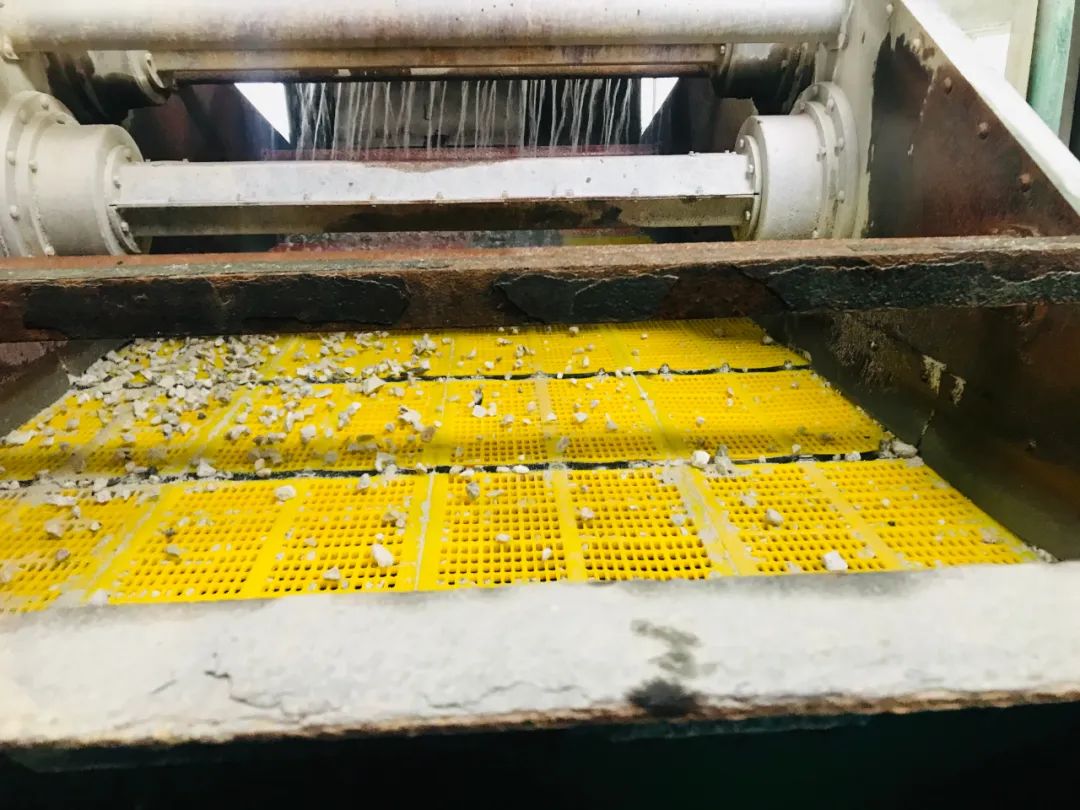 Win-win Cooperation | NMS Won the “Gold Award for 2022 Strategic Core ...